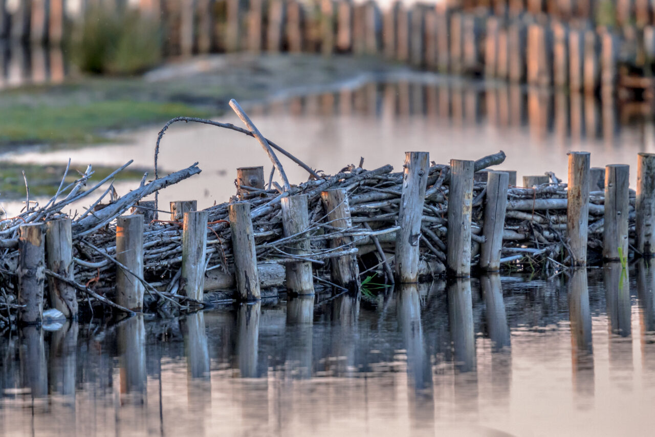 A Brief History of Riverbank Repair Techniques - Cooks Marine